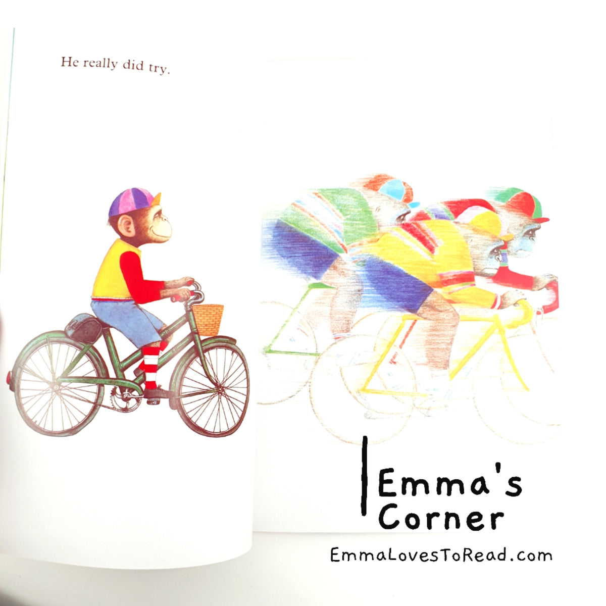 Willy the Champ by Anthony Browne PB – Emma's Corner