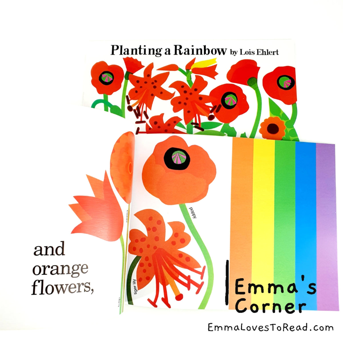 Planting a Rainbow by Lois Ehlert Children Picture Book PB – Emma's Corner